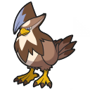 Estrategia de Staraptor - Pokémon Champions - Pokéxperto